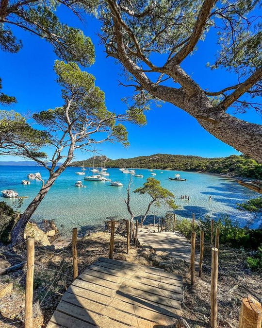 Summer in Style: The Ultimate Luxury Guide to Saint Tropez – Moeva